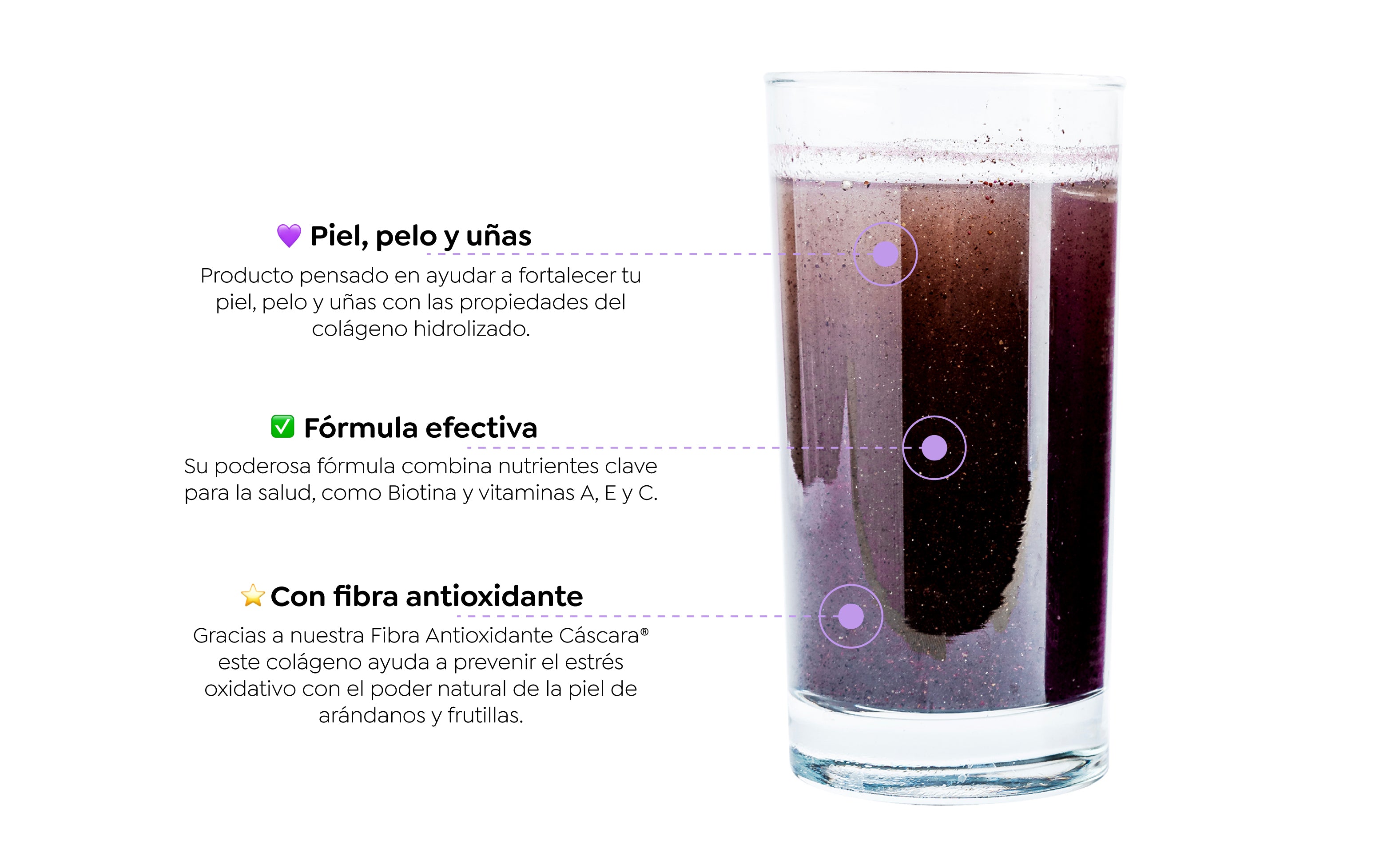 Colágeno Antiox Hidrolizado 60 días - Cáscara Foods – cascarafoods